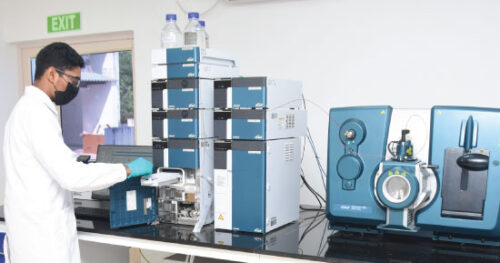 Primopus | CMC Process Development