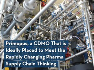 Cmo Cdmo Api Rsm Gmp Pr D Manufacturing Primopus